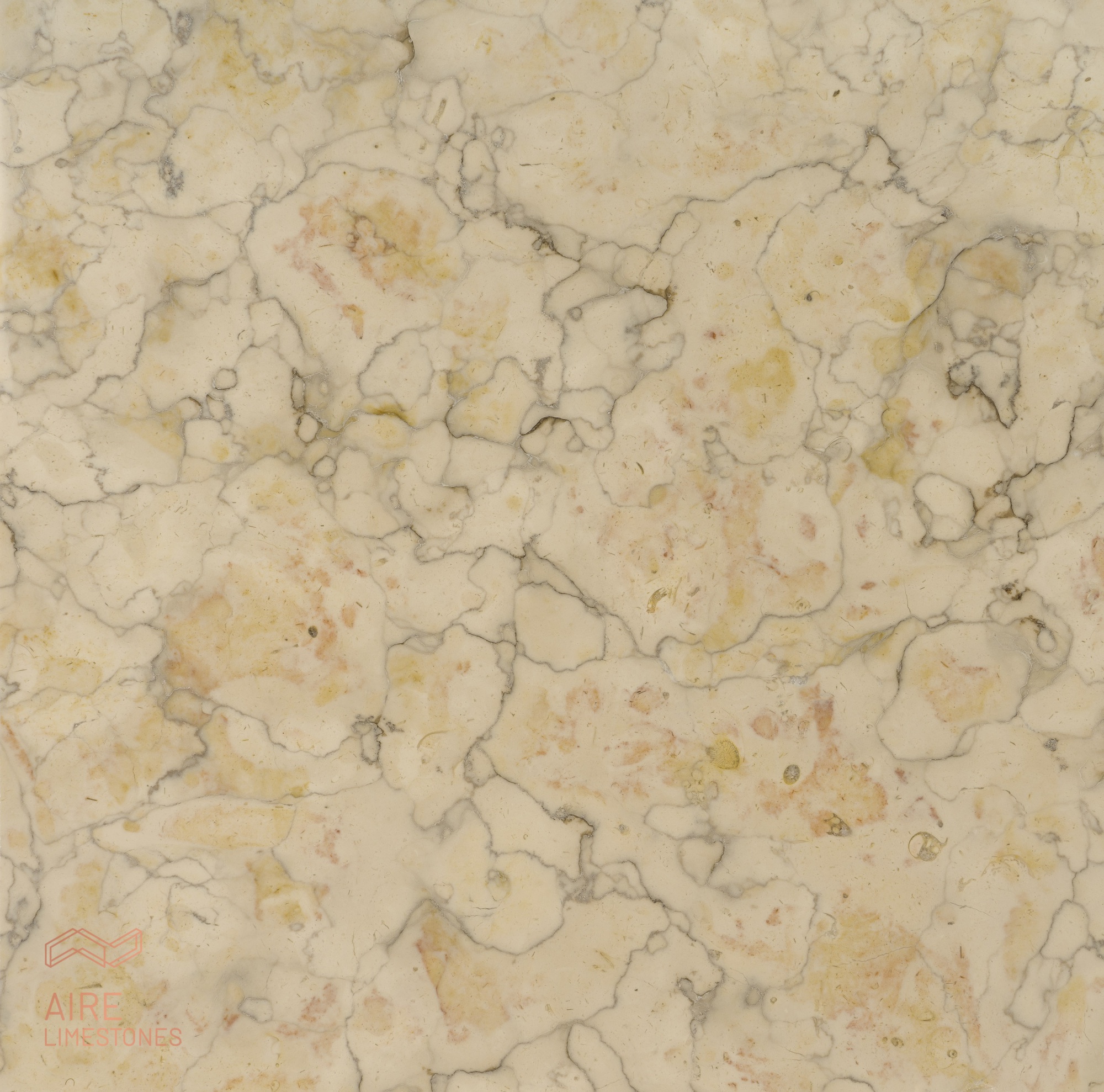 Lioz Airelimestones - Natural Stone, Limestone, Marble - Portugal